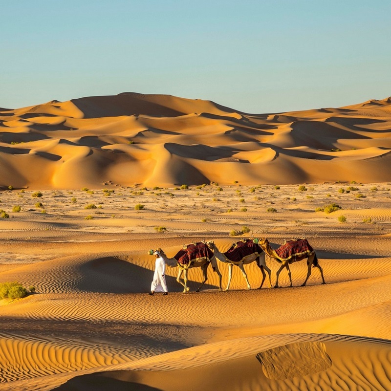 Middle East Wall Art & Canvas Prints | Great Big Canvas