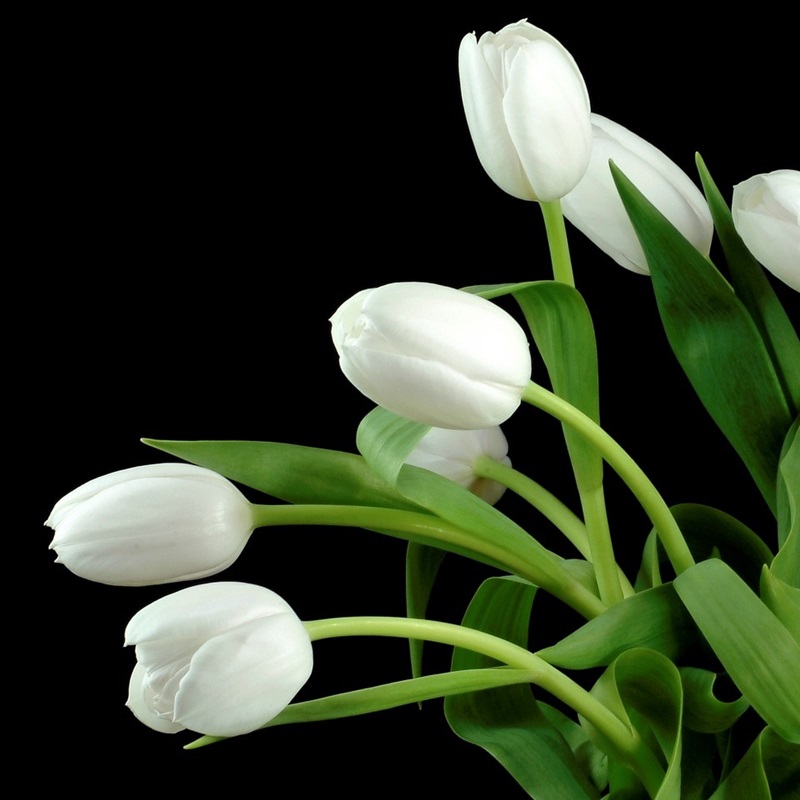 Jonathan Shuff Wall Art & Canvas Prints | Great Big Canvas