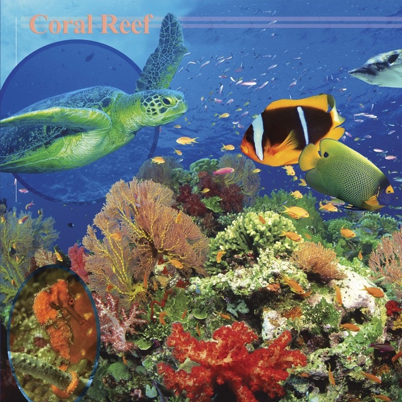 Educational Posters Wall Art & Canvas Prints | Great Big Canvas