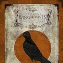 Crow and Raven Wall Art & Canvas Prints | Crow and Raven Panoramic ...