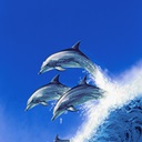 Robin Koni Canvas Art Prints | Robin Koni Panoramic Photos, Posters ...