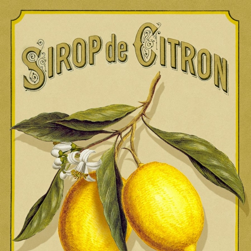 Tina Higgins Wall Art & Canvas Prints | Great Big Canvas