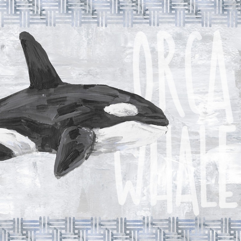 Orca Wall Art & Canvas Prints | Orca Panoramic Photos, Posters ...