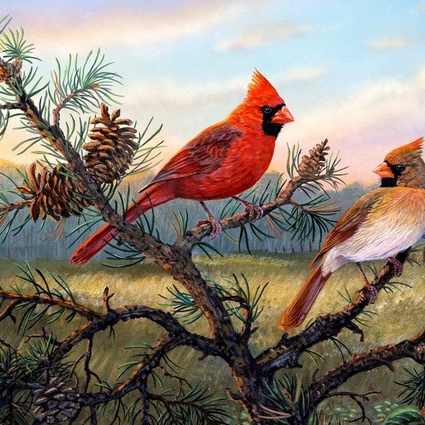 Cardinal Wall Art & Canvas Prints | Cardinal Panoramic Photos, Posters ...