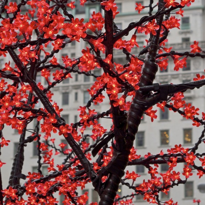 Michele Molinari Wall Art & Canvas Prints | Great Big Canvas