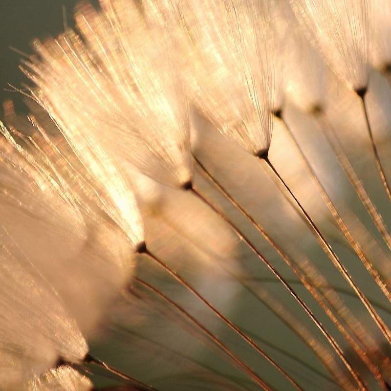 Mike Moats Wall Art & Canvas Prints | Great Big Canvas