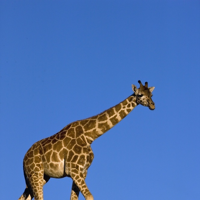 Ken Bohn Wall Art & Canvas Prints | Great Big Canvas