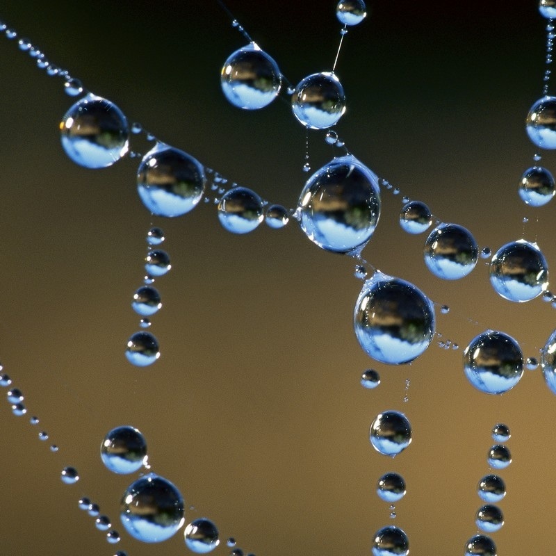 Andy Reisinger Wall Art & Canvas Prints | Great Big Canvas