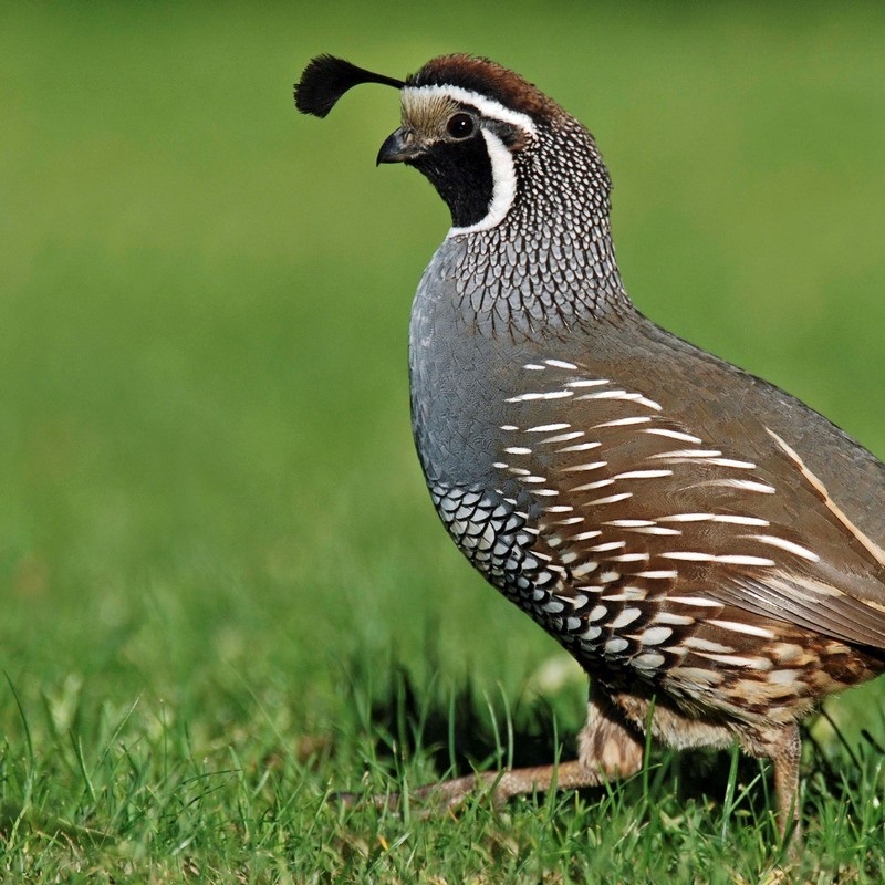 Jonathan Harrod Wall Art & Canvas Prints | Jonathan Harrod Panoramic ...