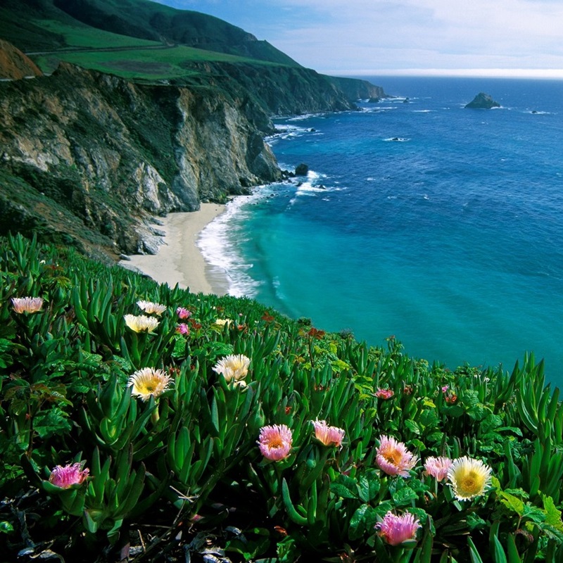Big Sur Wall Art & Canvas Prints | Great Big Canvas