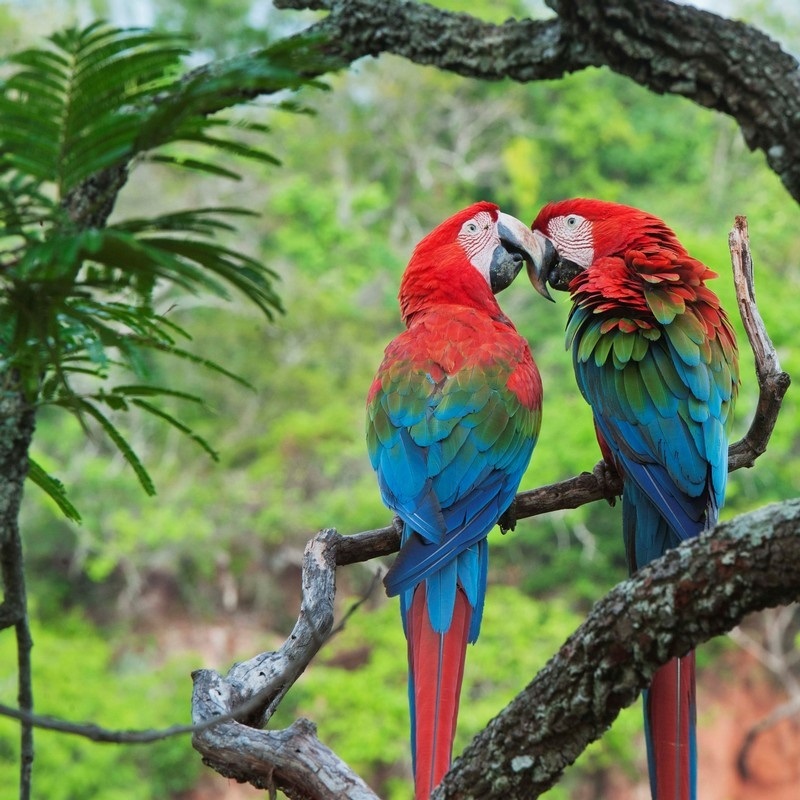 Kevin Schafer Wall Art & Canvas Prints | Great Big Canvas