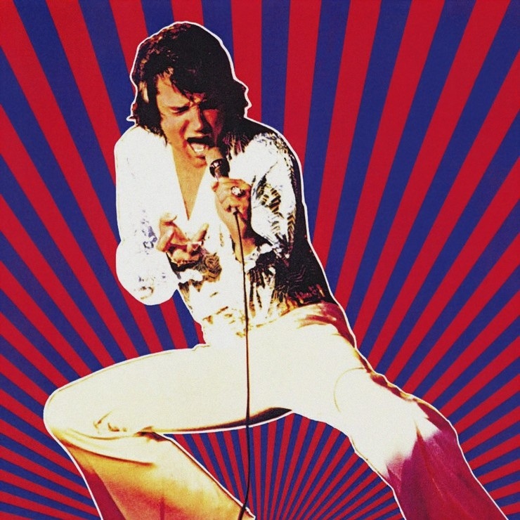 Elvis Wall Art & Canvas Prints | Elvis Panoramic Photos, Posters ...