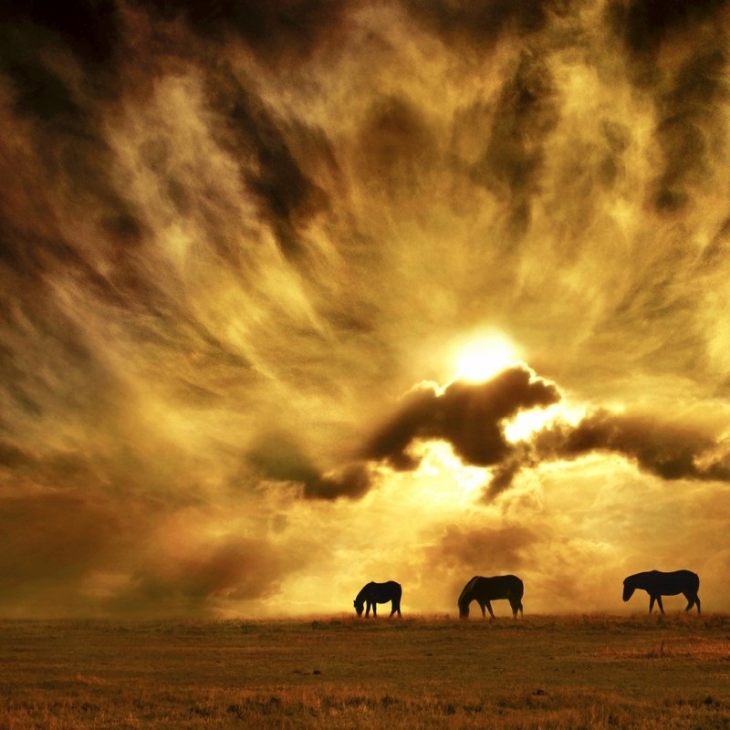 Adrian Campfield Wall Art & Canvas Prints | Great Big Canvas