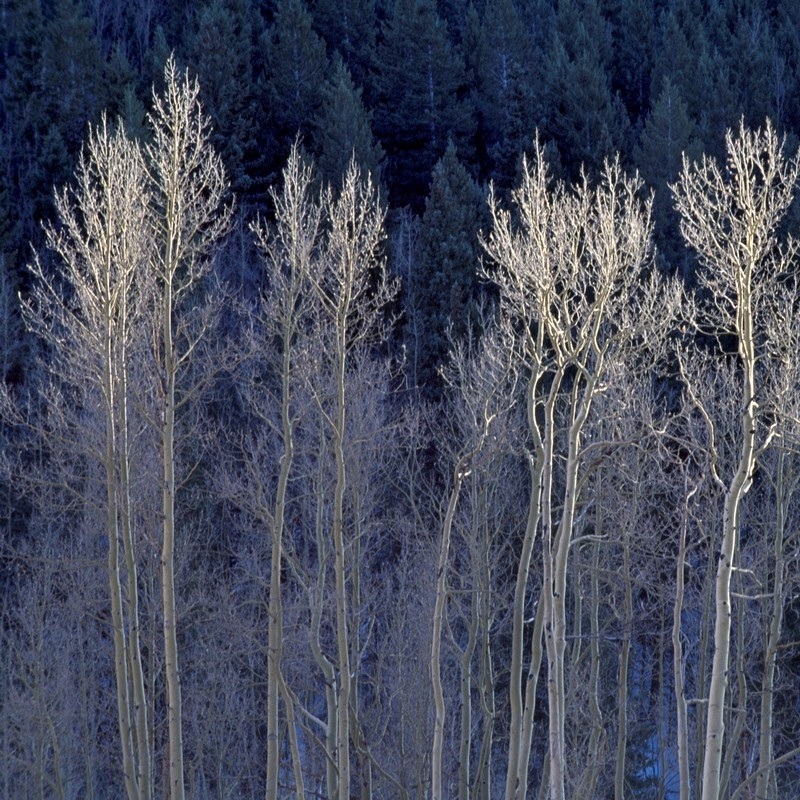 Art Wolfe Wall Art & Canvas Prints | Great Big Canvas