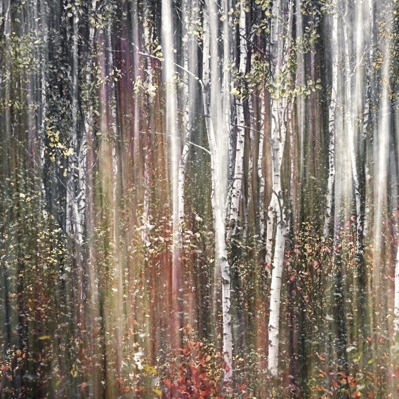 The Pacific Art Group Collection Wall Art & Canvas Prints | The Pacific ...