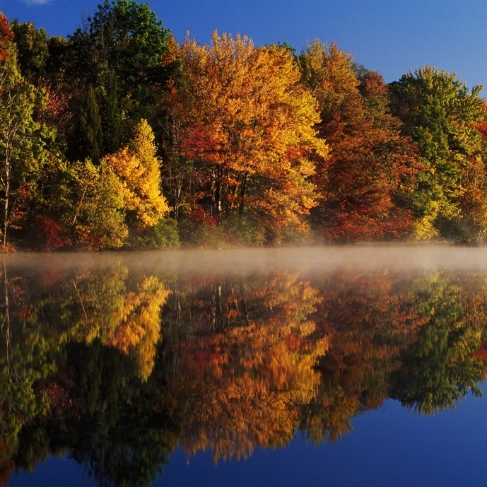 Pennsylvania Wall Art & Canvas Prints | Great Big Canvas