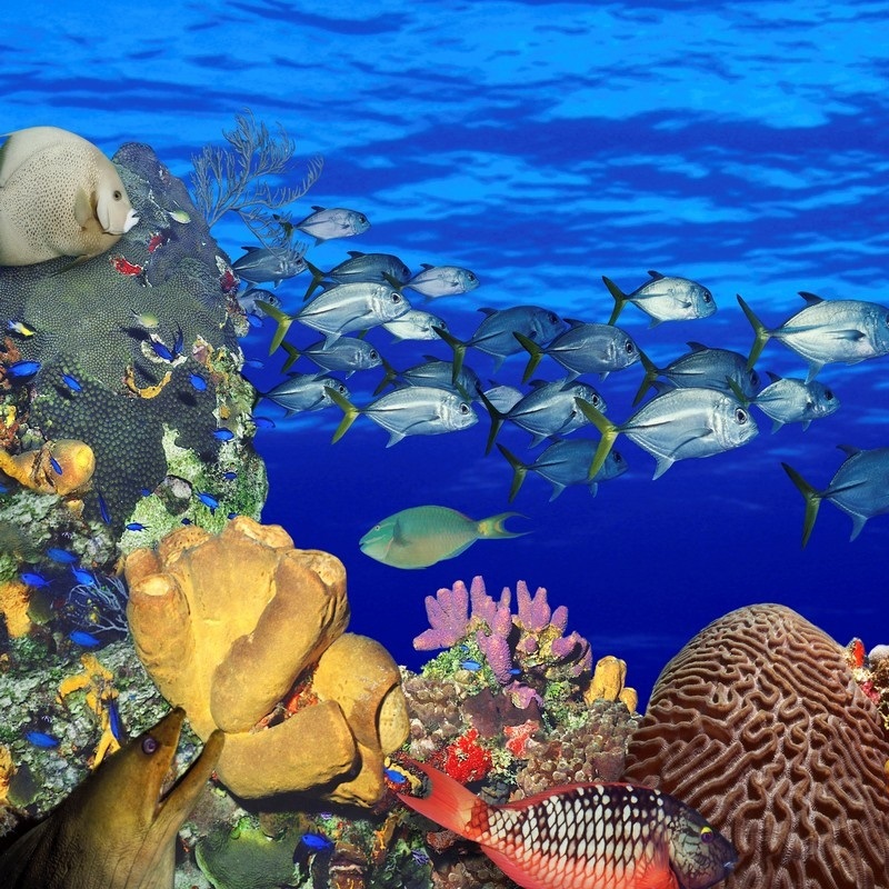 Wildlife Wall Art, Canvas Prints & More | Great Big Canvas