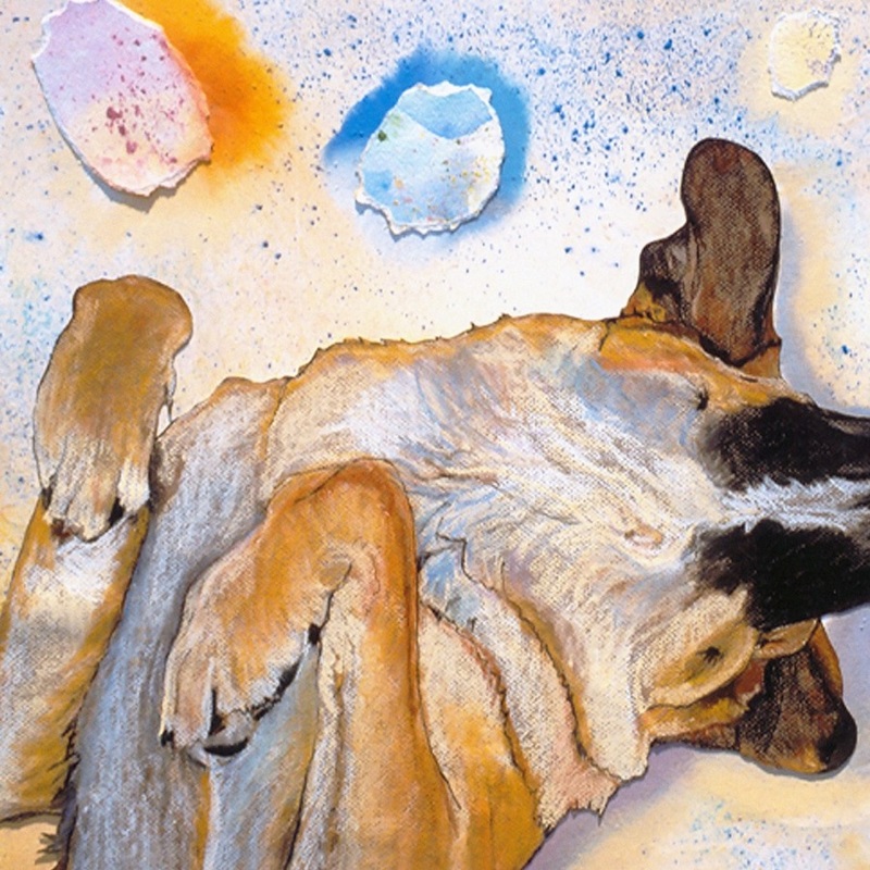 Dog Wall Art & Canvas Prints | Dog Panoramic Photos, Posters ...