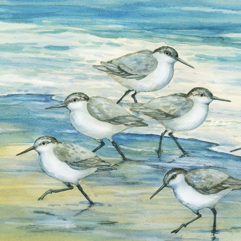 Paul Brent Wall Art & Canvas Prints | Great Big Canvas