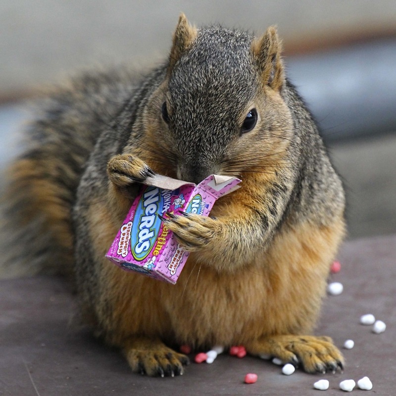 Paul Marto Wall Art & Canvas Prints | Great Big Canvas