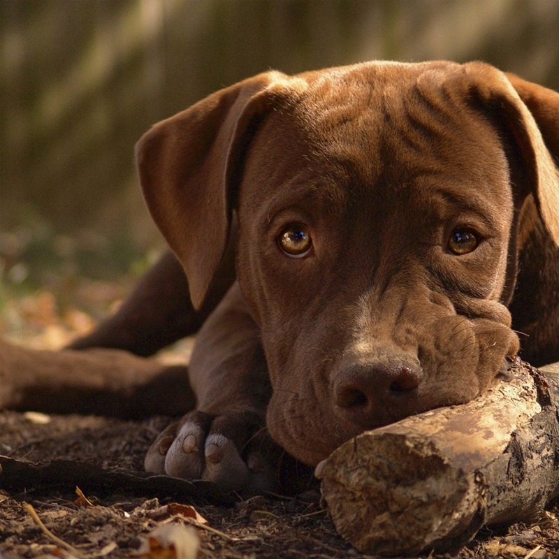 Kalil James Wall Art & Canvas Prints | Kalil James Panoramic Photos ...