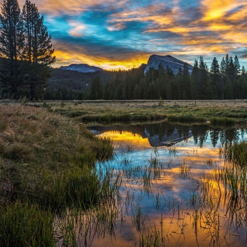 Mark Cote Wall Art & Canvas Prints | Great Big Canvas