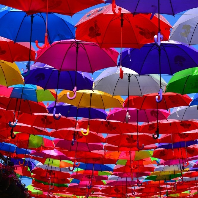 Dylan D'souza Wall Art & Canvas Prints | Great Big Canvas