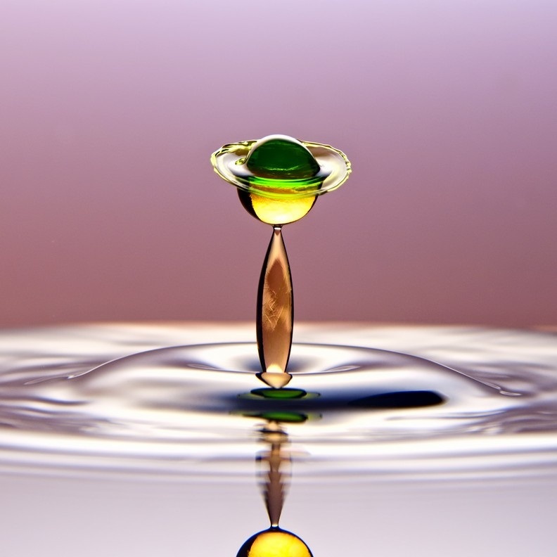 Chaz Goes Wall Art & Canvas Prints | Great Big Canvas