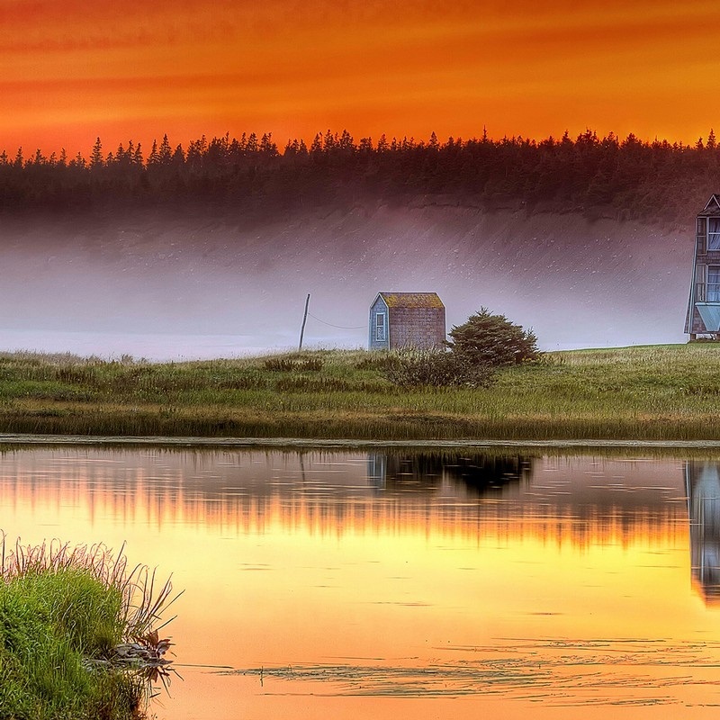 Trevor Murphy Wall Art & Canvas Prints | Great Big Canvas