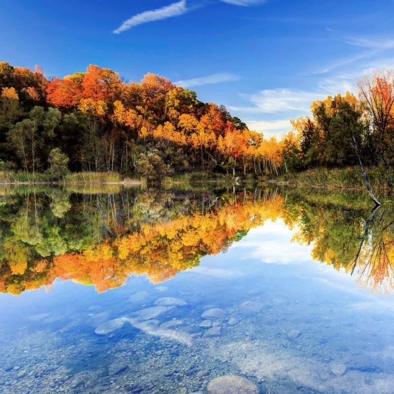 Shawn Conrad Wall Art & Canvas Prints | Great Big Canvas