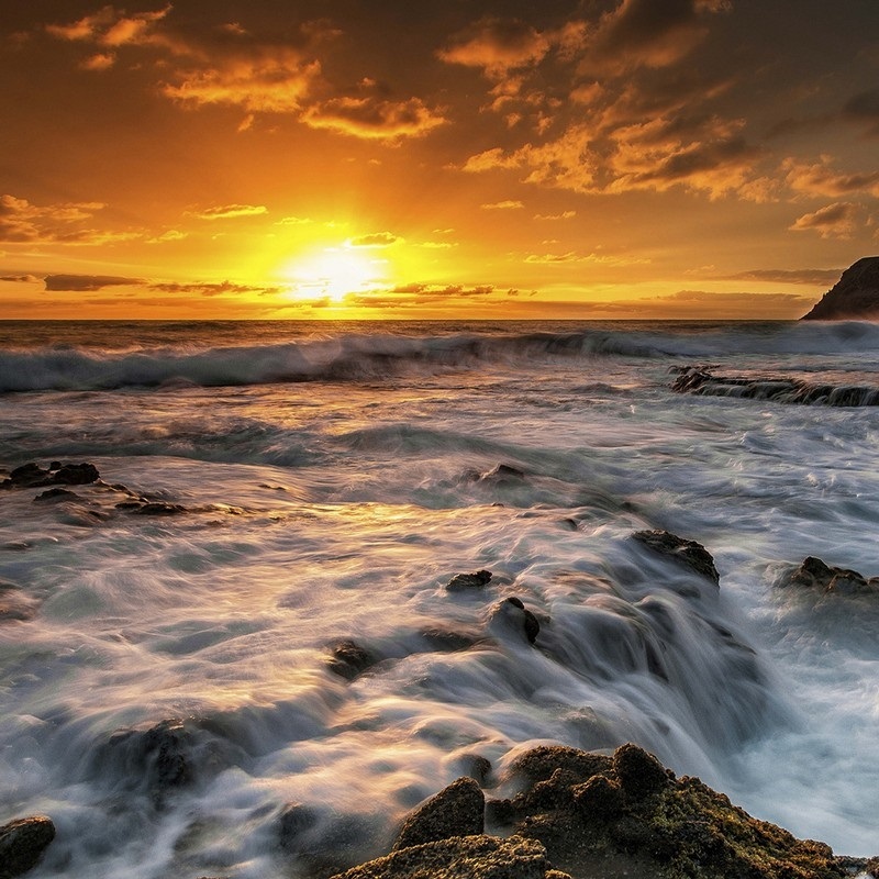 Duarte Sol Wall Art & Canvas Prints | Great Big Canvas