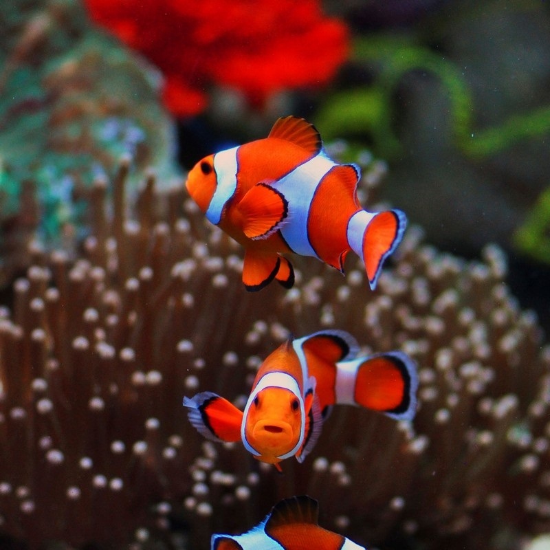 Michael Gunawan Wall Art & Canvas Prints | Michael Gunawan Panoramic ...