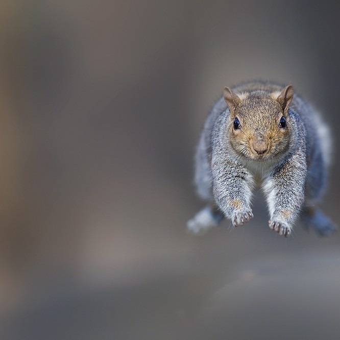 Stefano Ronchi Wall Art & Canvas Prints | Great Big Canvas