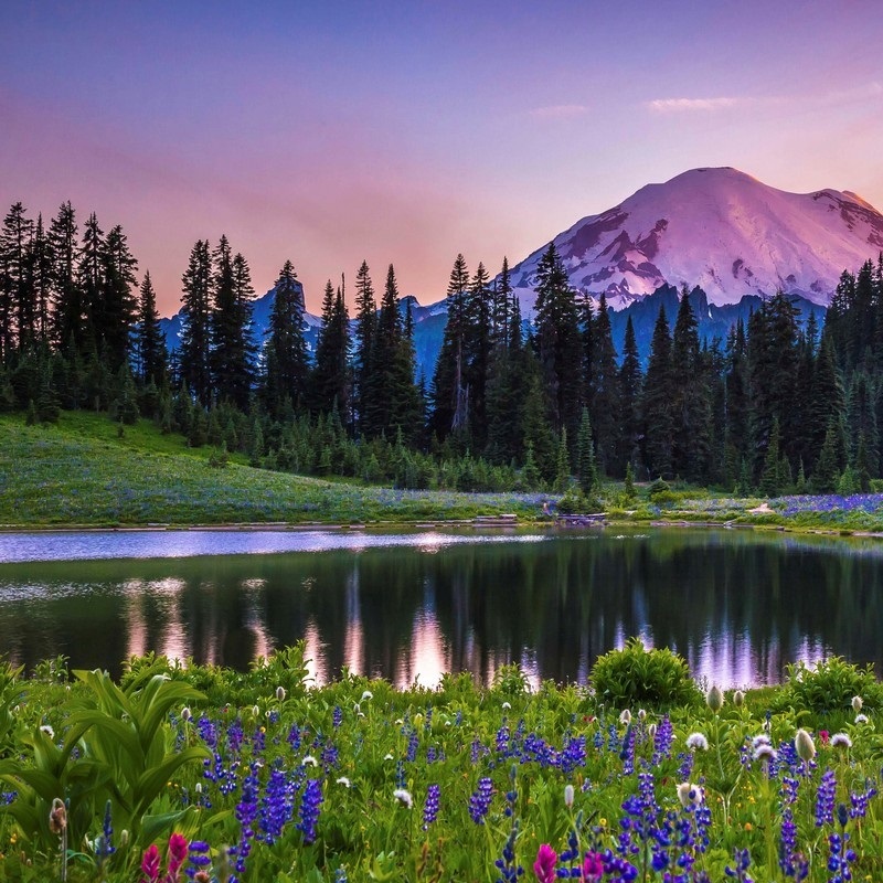 Judi Kubes Wall Art & Canvas Prints | Great Big Canvas