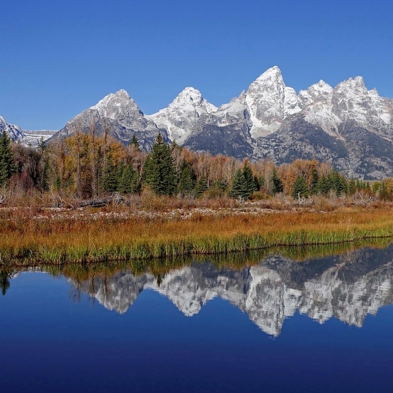 Randall Brewer Wall Art & Canvas Prints | Great Big Canvas