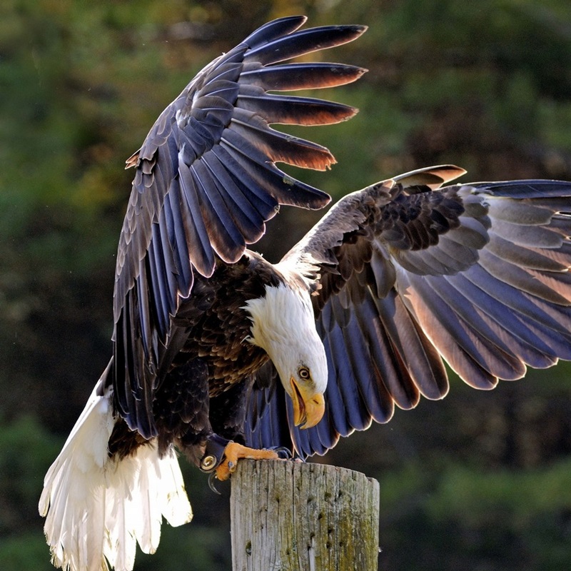 Peter K. Burian Wall Art & Canvas Prints | Great Big Canvas