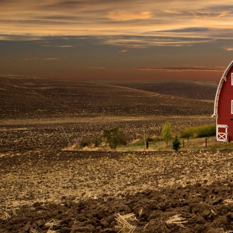 Brent Huntley Wall Art & Canvas Prints | Great Big Canvas