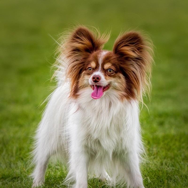 Kerry Perkins Wall Art & Canvas Prints | Great Big Canvas