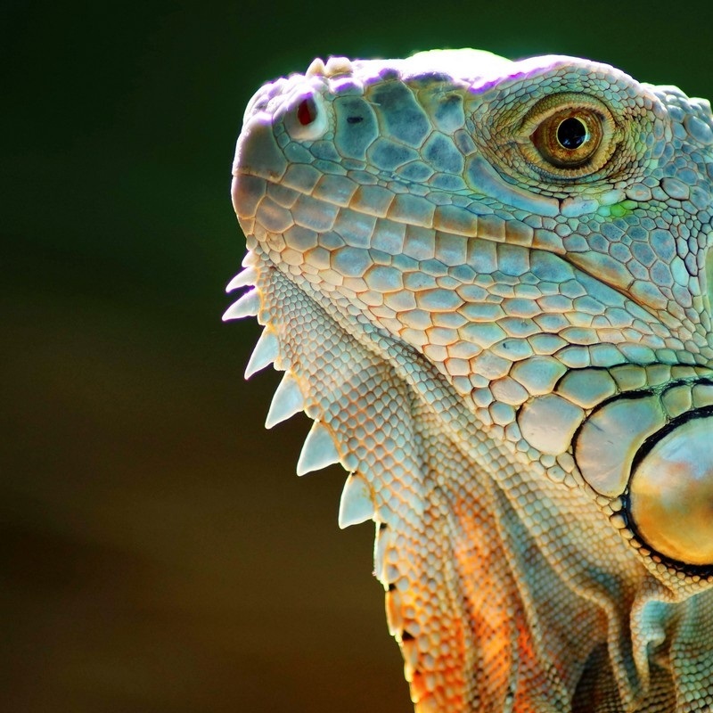 Kim Pot Wall Art & Canvas Prints | Great Big Canvas