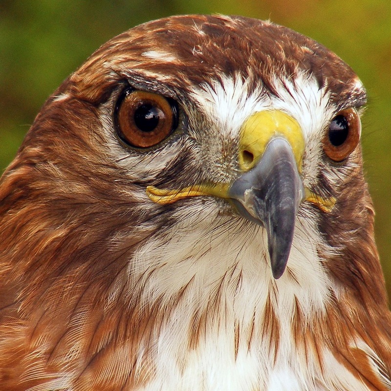 Larry Strong Wall Art & Canvas Prints | Larry Strong Panoramic Photos ...