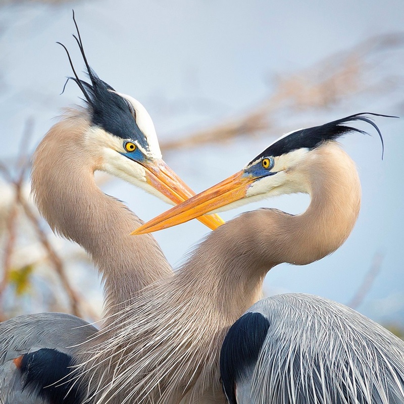 Debbie Sloan Wall Art & Canvas Prints | Great Big Canvas