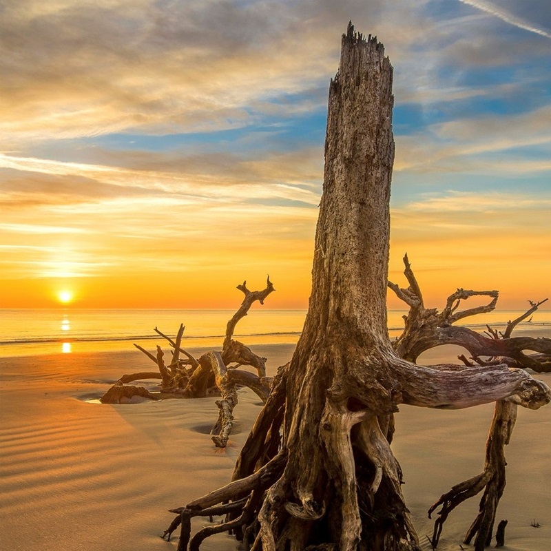 Jason Rambo Wall Art & Canvas Prints | Great Big Canvas