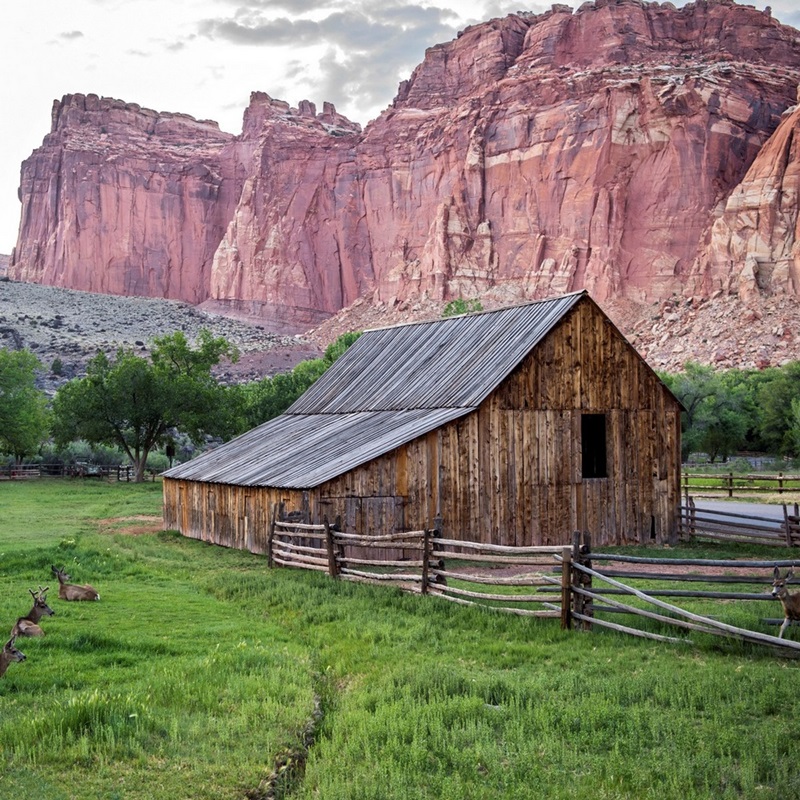 Barn Wall Art & Wall Decor - Barn Art & Pictures | Great Big Canvas