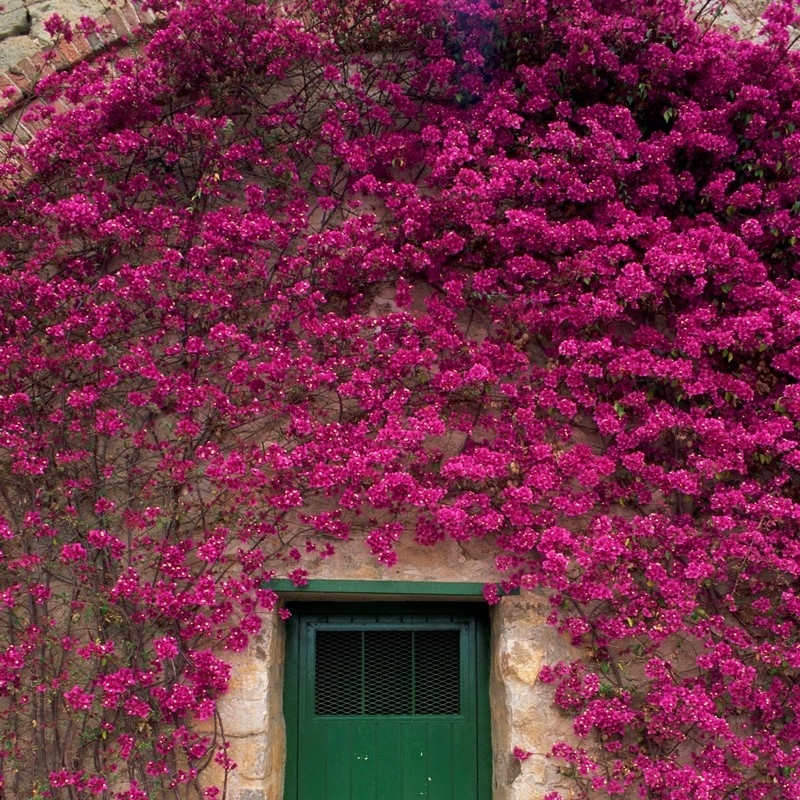 Jeremy Bright Wall Art & Canvas Prints | Great Big Canvas