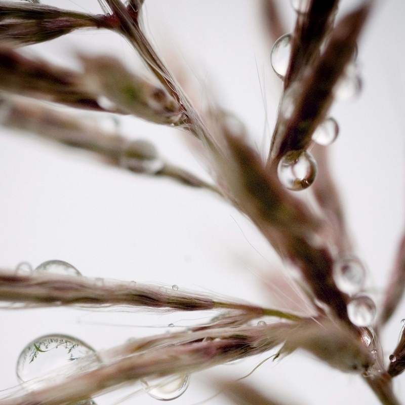 Rod Porteous Wall Art & Canvas Prints | Great Big Canvas