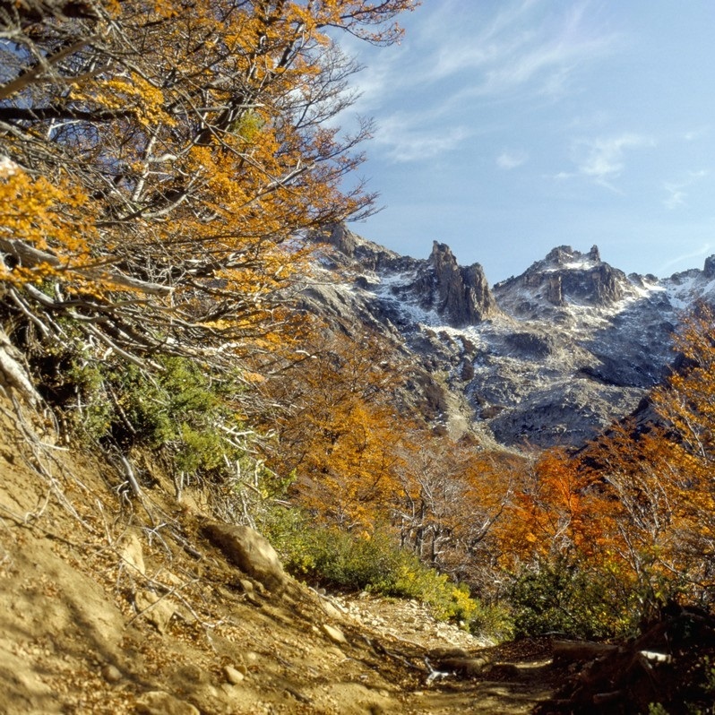 Mark Chivers Wall Art & Canvas Prints | Great Big Canvas