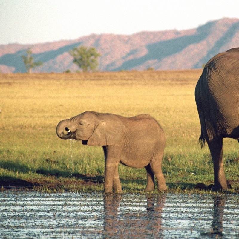 Jennifer Fry Wall Art & Canvas Prints | Jennifer Fry Panoramic Photos ...