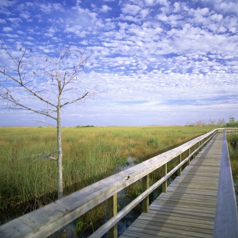 Nigel Francis Wall Art & Canvas Prints | Nigel Francis Panoramic Photos ...