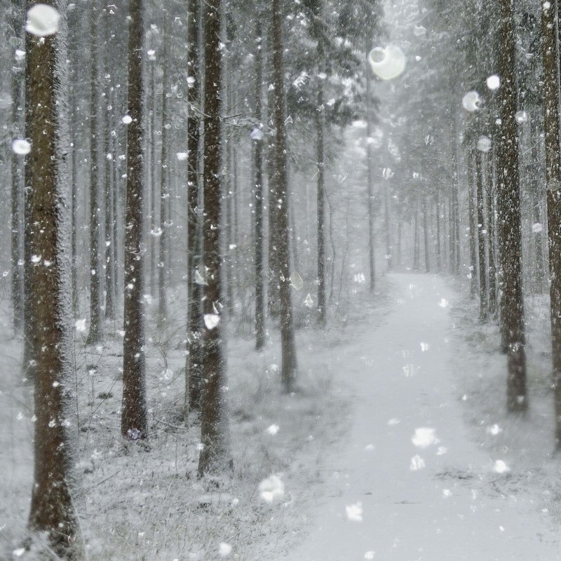 Jochen Schlenker Wall Art & Canvas Prints | Great Big Canvas