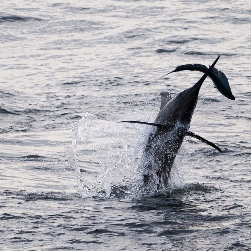 Mick Baines Wall Art & Canvas Prints | Great Big Canvas